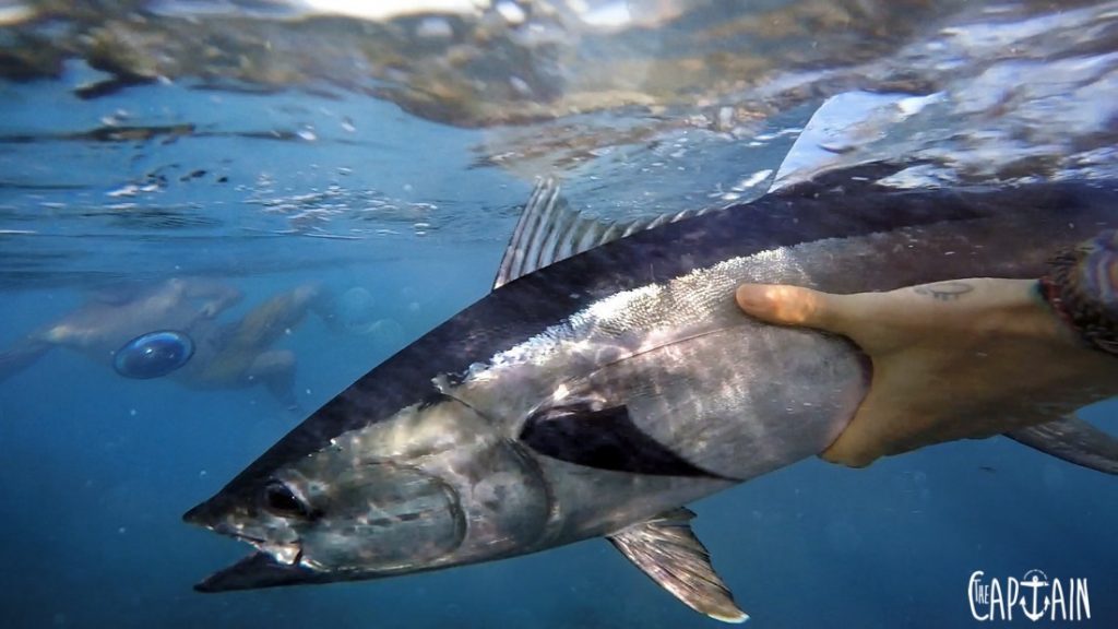 MORNINGTIDE FISHING - The Captain Magazine